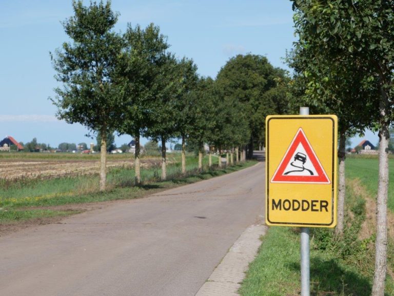 Luzerne een praktische teelthandleiding - BUMA handel